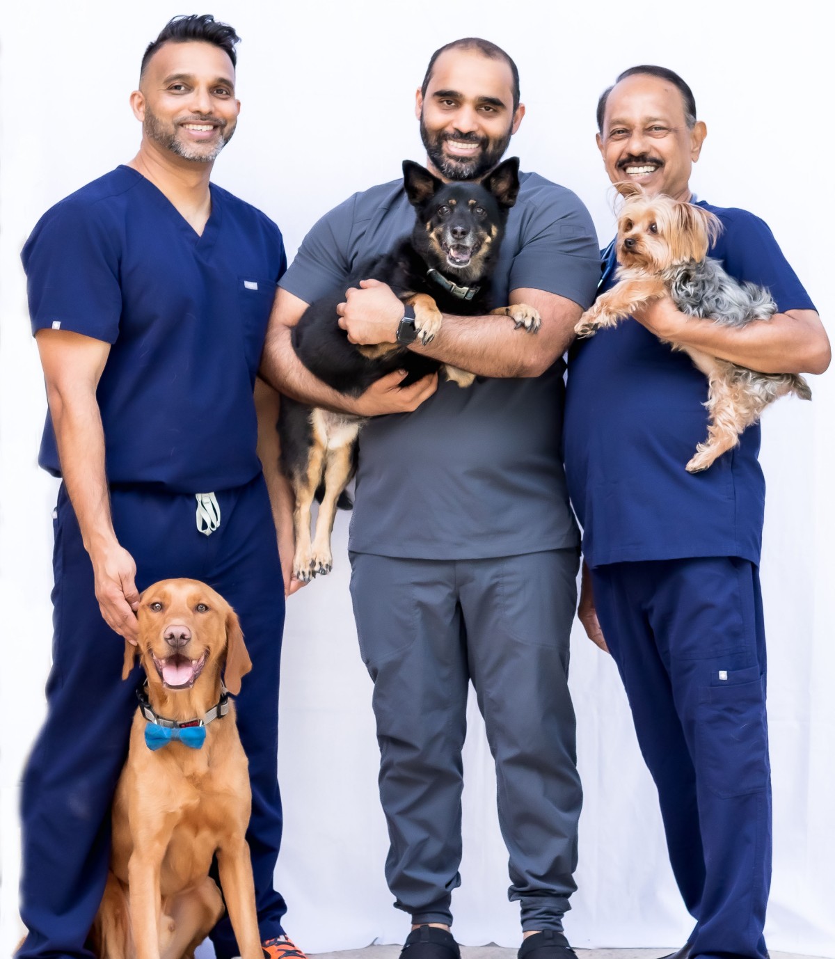 Learn About Our Core Mission - Advanced Veterinary Care Orlando