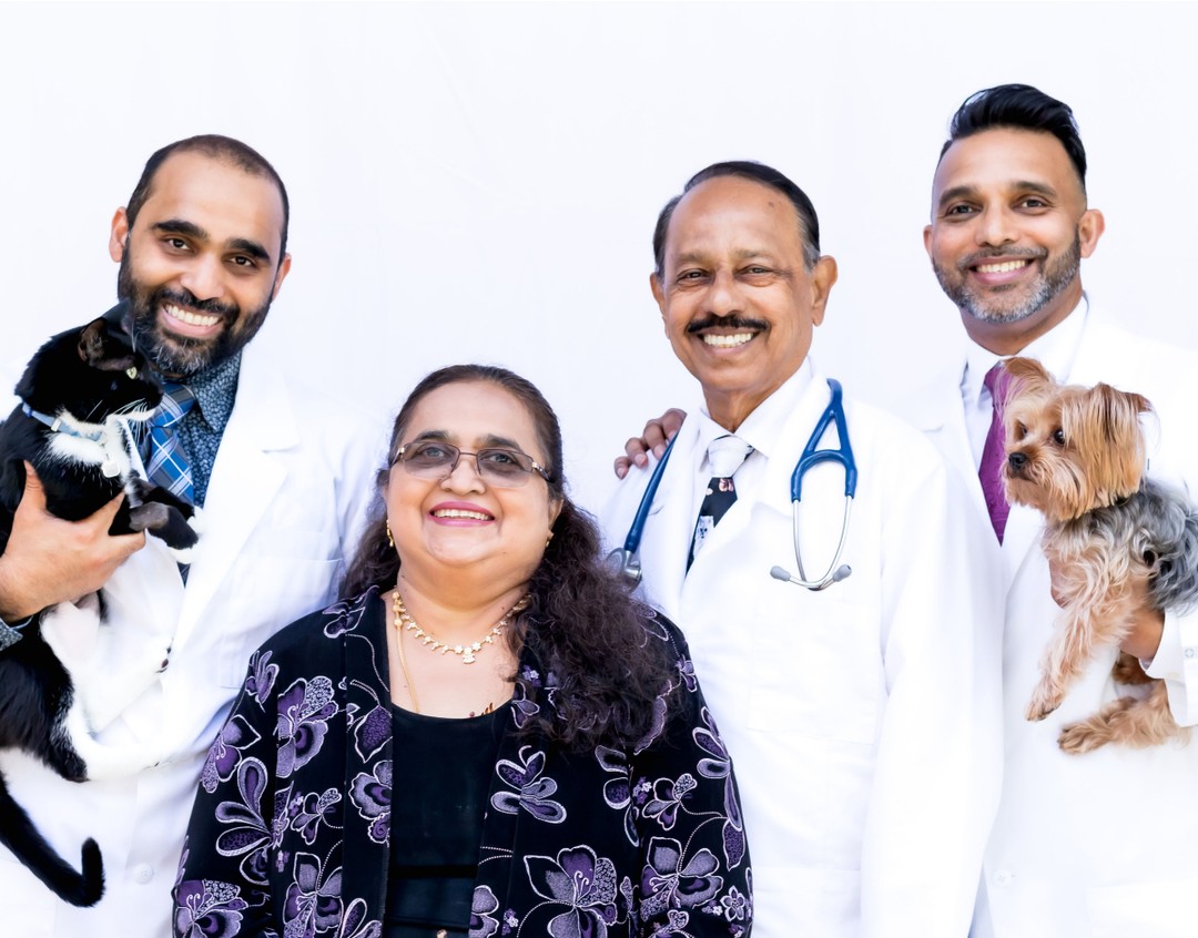 Pet Medical Care: Veterinarian 24hr in Florida - Advanced Veterinary ...