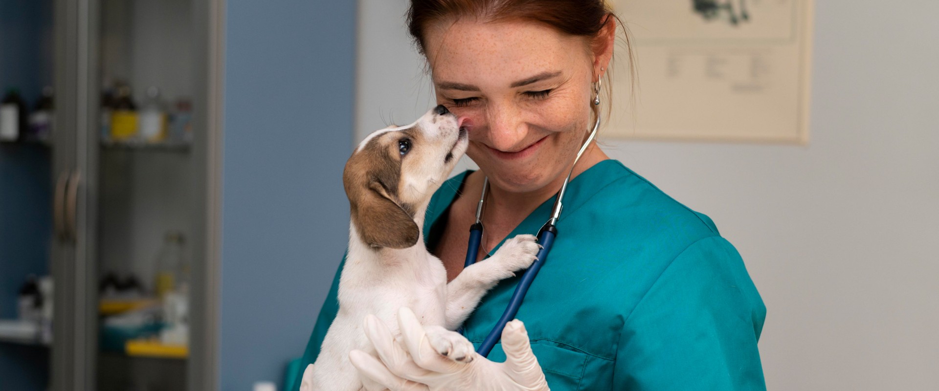Pets Diagnostics Lab Florida - Advanced Veterinary Care Orlando