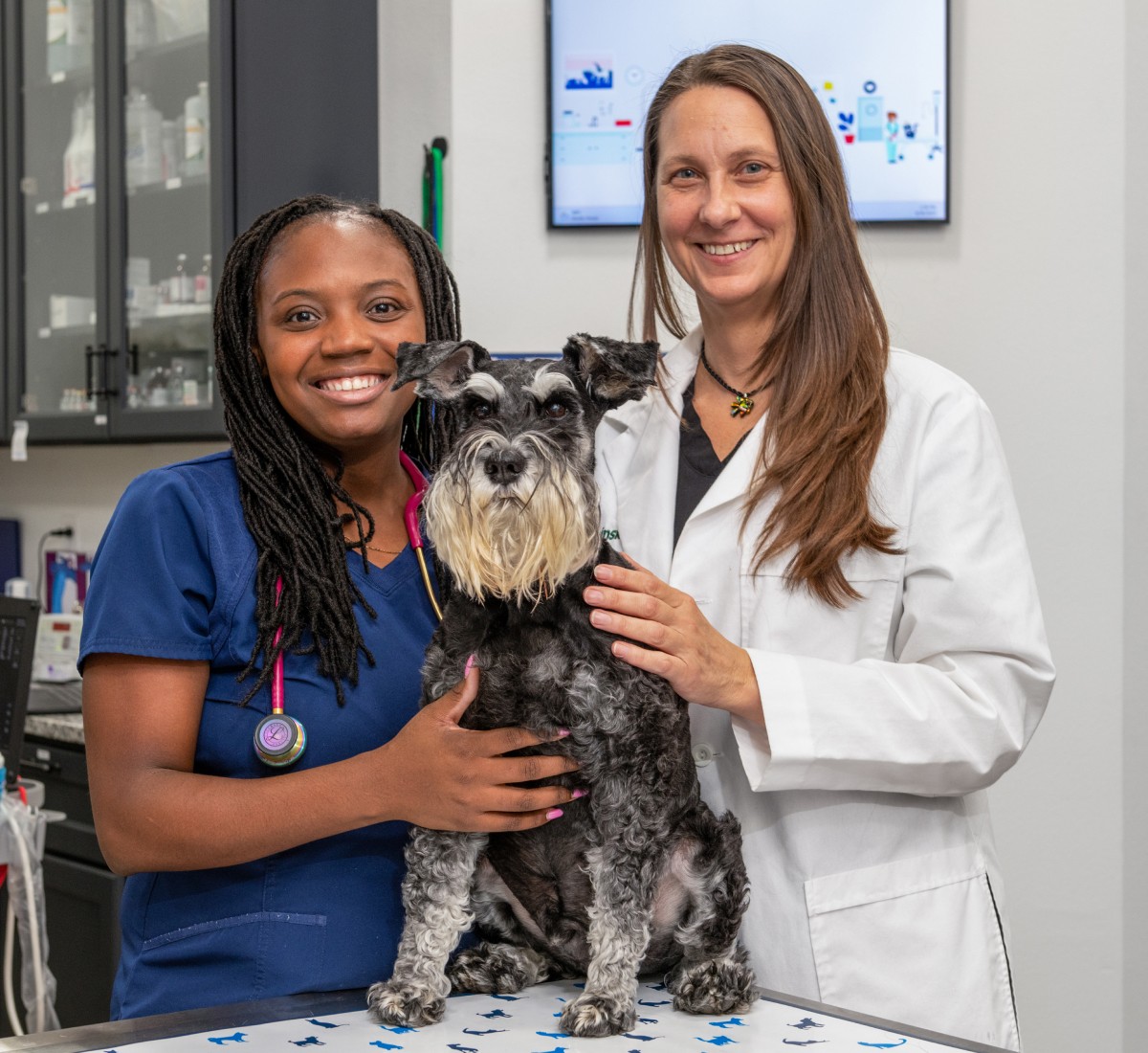 Welcome Pet Owners - Advanced Veterinary Care Orlando