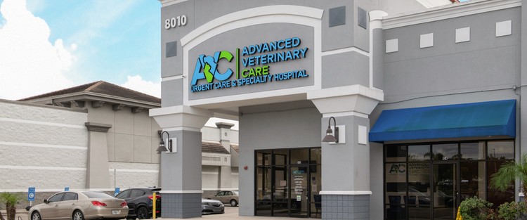 Pet Medical Care: Veterinarian 24hr in Florida - Advanced Veterinary ...